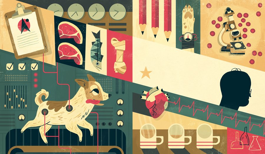 Laika - Owen Davey Illustration